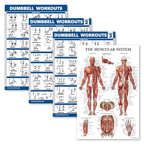 Buy Palace Learning 4 Pack Dumbbell Workout Exercise Volume 1 2 3