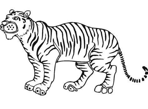 Normal Tiger Fargeleggingsside Last Ned Skriv Ut Eller Fargelegg