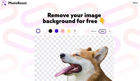 Introduzir 77 Imagem Photoroom Remover Fundo Br Thptnganamst Edu Vn