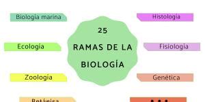 Cuáles son las 5 ramas de las ciencias naturales Escuela Particular