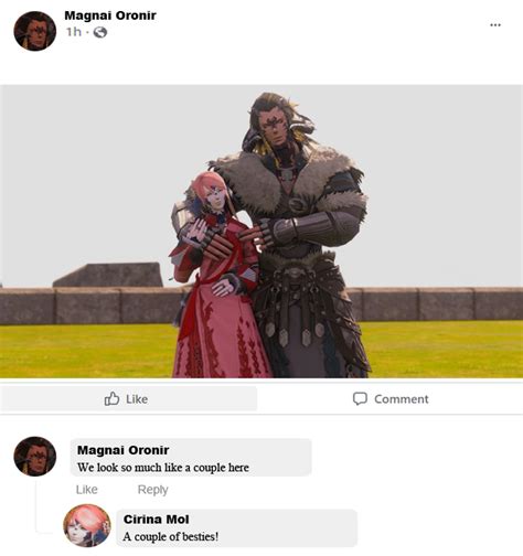 Baldesion Ruby On Twitter Rt Redditffxiv Guy Just Wants His Nhaama