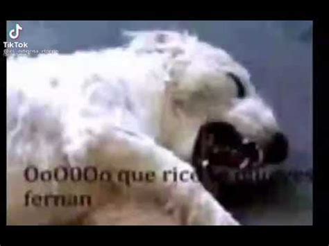 Fernan No Curly Me Acabo De Ba Ar Youtube
