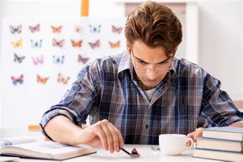 El Entom Logo Del Estudiante Que Estudia La Nueva Especie De Mariposas