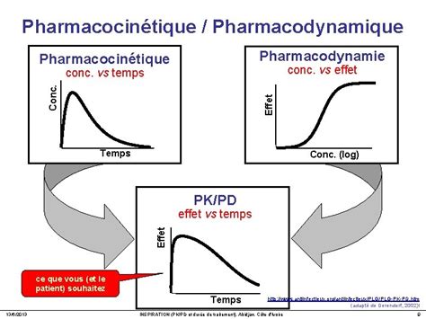 difference entre pharmacodynamie et pharmacocinétique