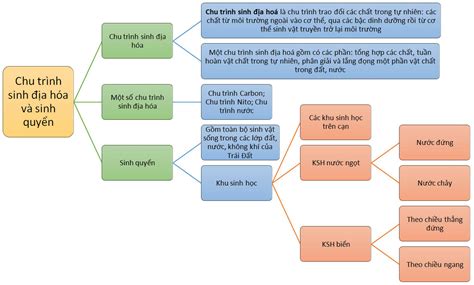 Sơ đồ tư duy Sinh học 12 Bài 44 Chu trình sinh địa hóa và sinh quyển