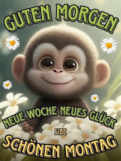 Pin Von Amanda Schmierer Auf Guten Morgen Guten Morgen Montag Bilder