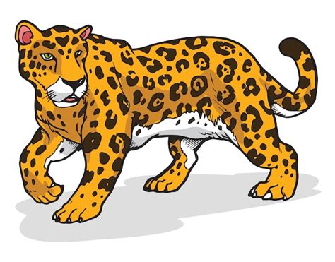 Ilustração em vetor onça pintada Vetor Premium