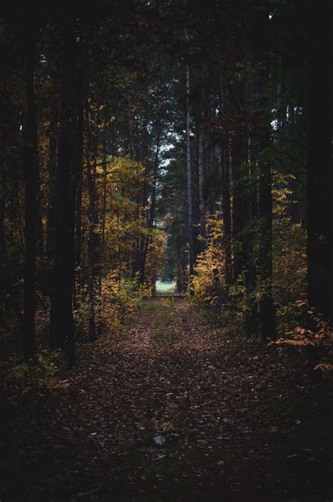 Pin Von Natalia Auf Natura