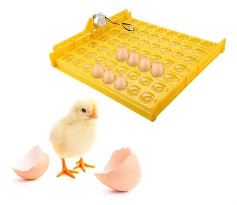 56 Mini Bandeja Giratoria Automática Para Huevos Incubadora Meses