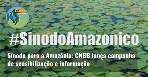 Sínodo para a Amazônia CNBB lança campanha de sensibilização e
