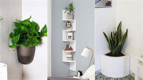 Details Imagen Macetas Para Plantas De Interior Abzlocal Mx