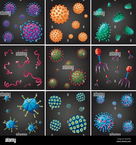 Different Types Of Viruses Illustration Stock Vector Image Art Alamy