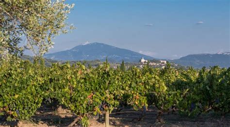 Domaine De La Pr Sidente The Good Gourmet