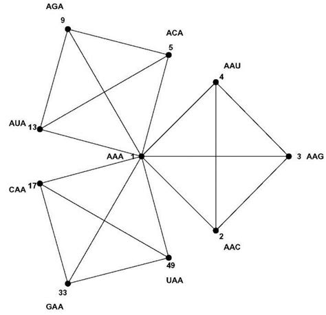 symmetry free full text the graph geometry and symmetries of the genetic code with hamming