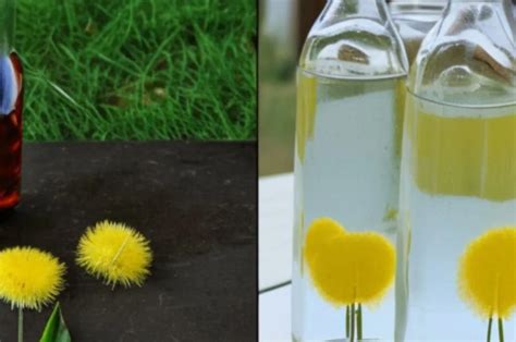 Jak zrobić samemu syrop z mniszka Otwórz się na DIY