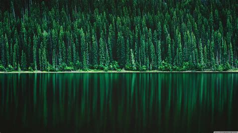 K Forest Lake Wallpapers Wallpaper Cave