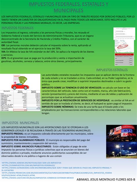 Infografia DE LOS Impuestos Federales Estatales Y Municipales