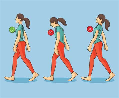 Wrong And Right Walking Posture Vector Vector Art Graphics