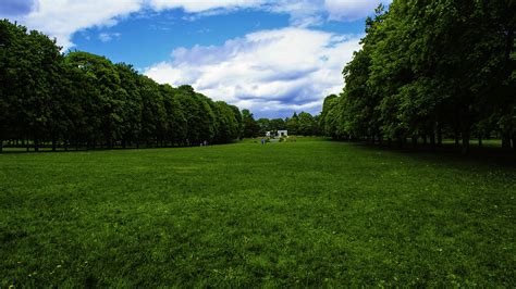 Hintergrundbilder Sonnenlicht Landschaft Wald Hügel Natur Gras