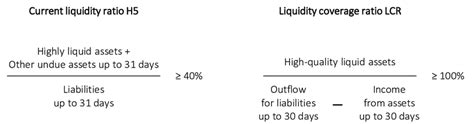Understanding The Liquidity Coverage Ratio