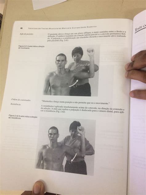 Testes Para For A Muscular Graus E Mmii E Mmss Avalia O Cin Tico