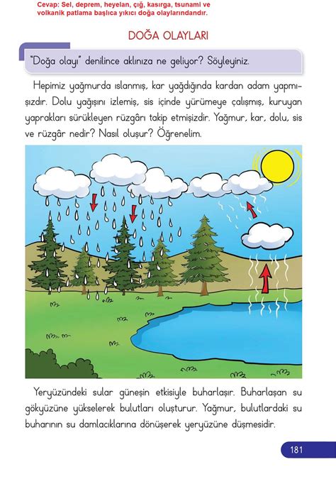 2 Sınıf Hayat Bilgisi Ata Yayıncılık Sayfa 181 Cevapları