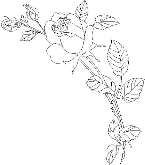 Planse De Colorat Flori Trandafiri De Colorat P11 Desene De Colorat