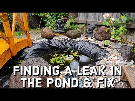 How To Find And Fix Pond Leaks Pond Liner Repair YouTube