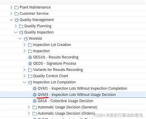SAP QM 不常用事务代码QVM3 Inspection Lots Without Usage Decision inspection