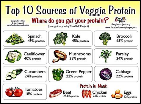 High Protein Foods List Printable Protein Vegetables