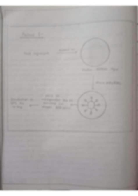 SOLUTION Microbiology Practical Antimicrobial Sensitivity Test Kirby