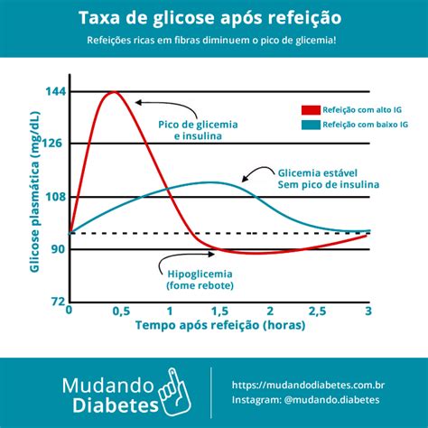 Curva Glicêmica e o Papel das Fibras na Redução do Pico de Glicemia