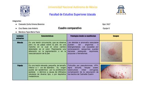 Cuadro Comparativo Lesiones Primarias Y Secundarias Universidad
