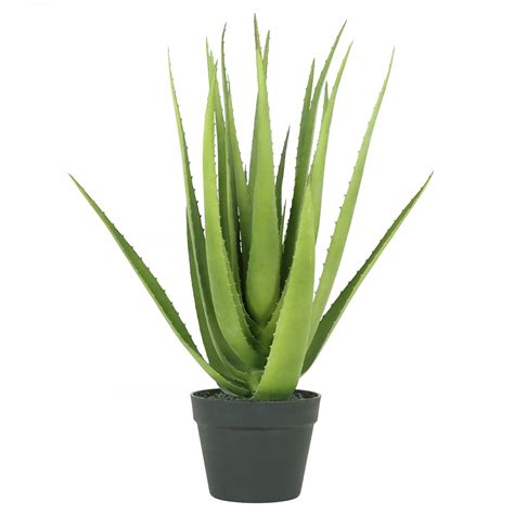 Aloe Vera Artificiel 60cm à Prix Carrefour