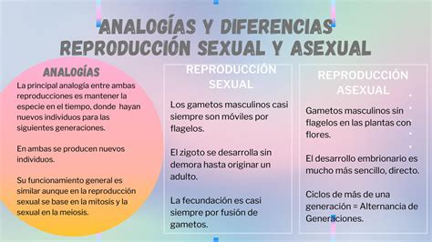 SOLUTION Reproduccion Sexual Y Asexual Toda La Informaci N Que