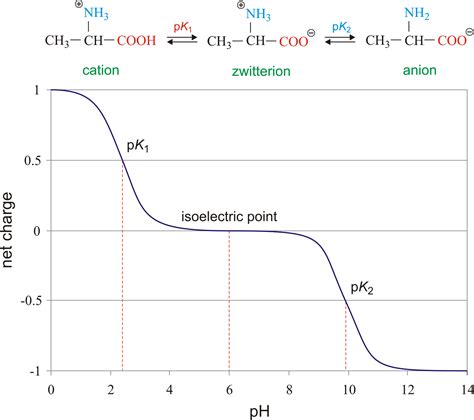 Isoelectric Chemistry Dictionary Glossary