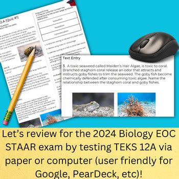 2024 Biology New Question Types TEKS 12A Quiz 1 Symbiosis STAAR EOC