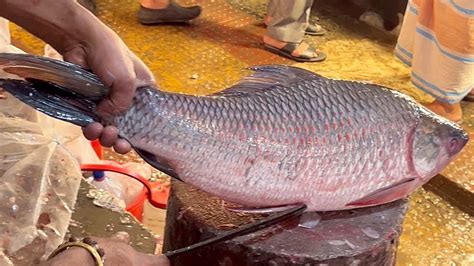 Amazing Big Rohu Fish Cutting Skills Fish Cutting Video Fish