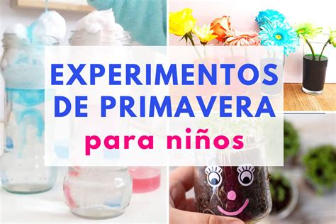 Experimentos De Primavera Para Ni Os F Ciles