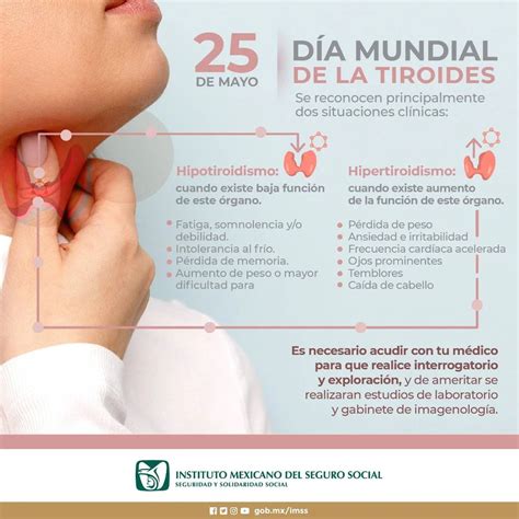 Qué es el hipotiroidismo y cuáles son sus síntomas El Imparcial de Oaxaca