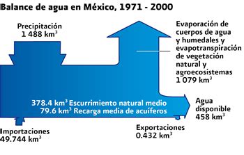 Informe En Resumen 2009
