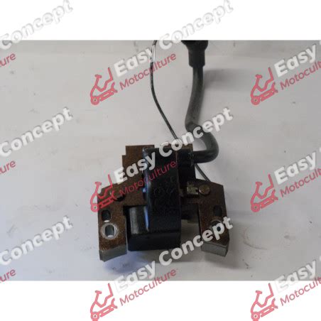 B S Intek Pro Ohv