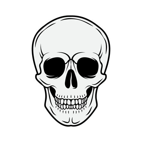 Human Skull Front View Vector Black And White Hand Drawn Illustration