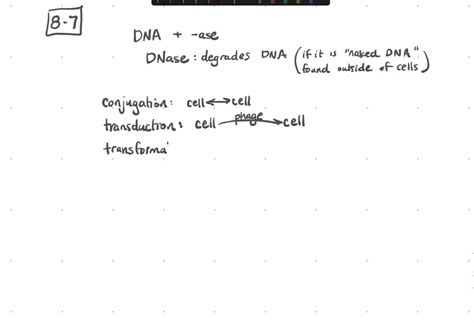 Solved The Addition Of Dnase To A Mixture Of Donor And Recipient Cells