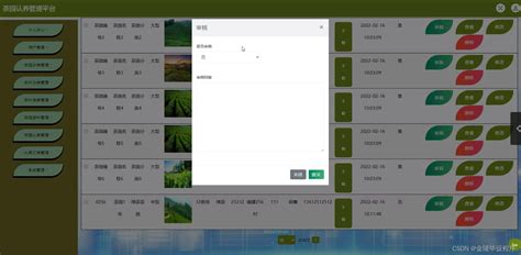 毕设项目：茶园认养管理平台 jsp java springmvc mysql mybatis 茶树认养系统 csdn博客