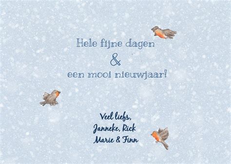 Happy Holidays Roodborstjes Kerstkaart Kaartje2go