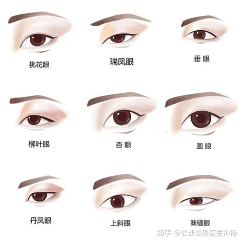 各个眼型图片 各种眼型图片 第5页 文秘苑图库