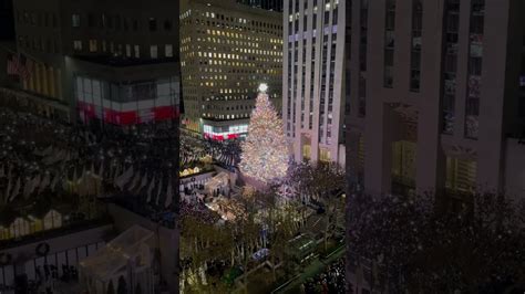 12 Days Till Christmas 19 Days Till New Year YouTube