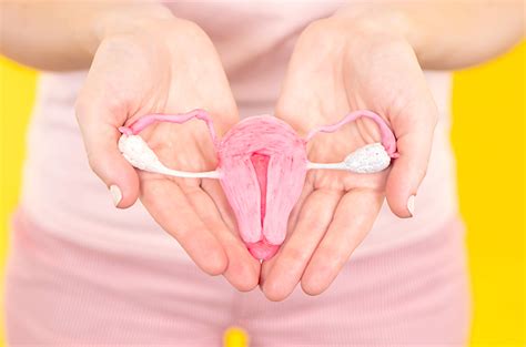 Kanker Ovarium Gejala Penyebab Dan Pengobatan Halodoc