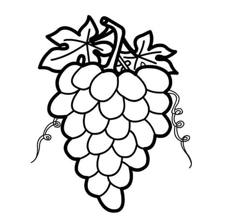 Imagen De Uvas Para Colorear Imprimir Gratis Porn Sex Picture